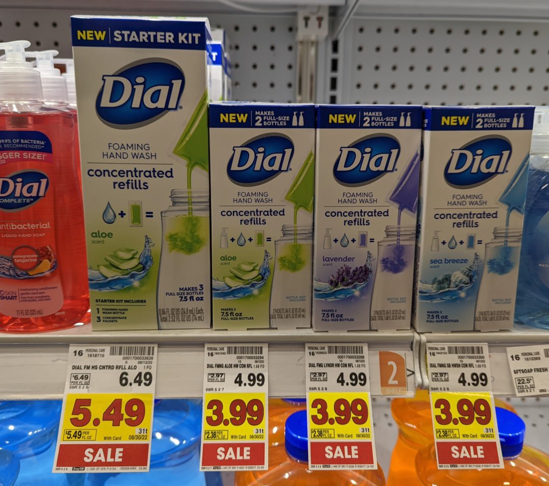 Dial Concentrated Foaming Hand Wash Refills 2-Count Just $2.49 At ...